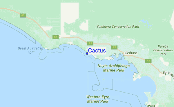 Cactus Surf Forecast and Surf Reports (SA - Nullarbor, Australia)