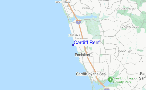 Cardiff Reef Surf Forecast and Surf Report