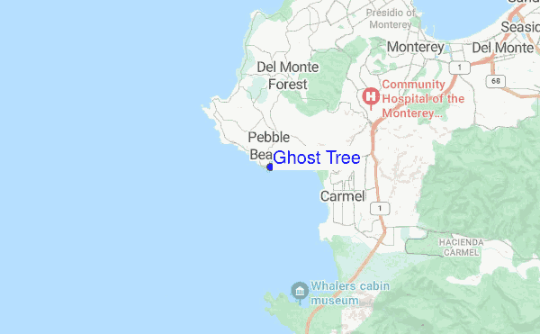 Ghost Tree 48 hour detailed Surf Forecast