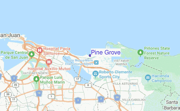 Pine Grove Surf Forecast and Surf Report