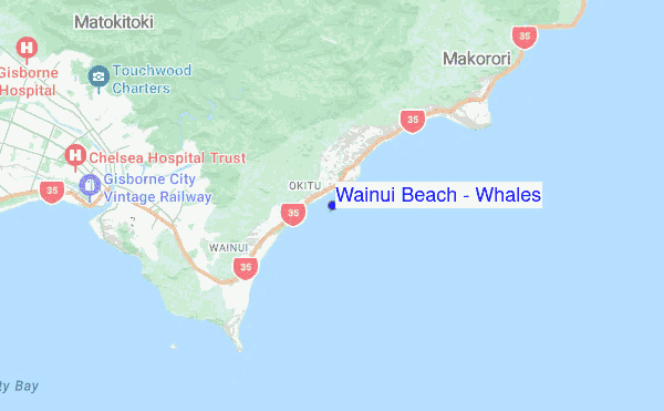 Wainui Beach - Whales Surf Forecast and Surf Report