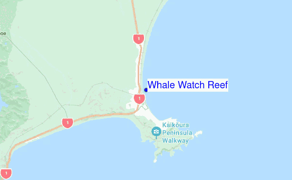 Whale Watch Reef Surf Forecast and Surf Report