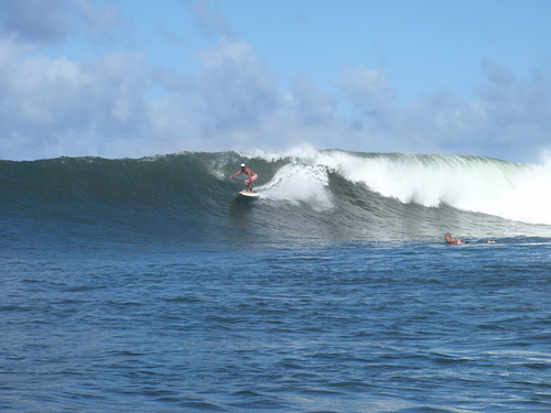 Puaena Point Surf Forecast and Surf Reports (HAW - Oahu, USA)