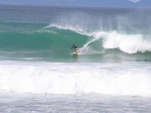 Waipu Cove Surf Forecast and Surf Reports (Northland, New Zealand)