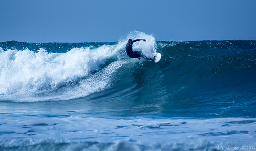 Cardiff Reef Surf Forecast and Surf Reports (CAL - San Diego County, USA)