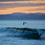 Byron Bay - The Wreck Surf Forecast and Surf Reports (NSW - North Coast ...