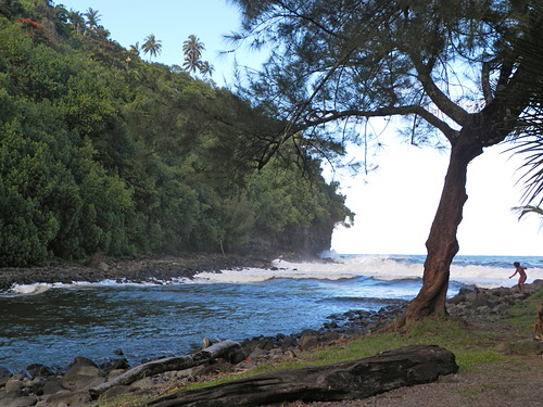 Hakalau Surf Forecast and Surf Reports (HAW - Big Island, USA)