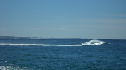 Bawley Point Surf Forecast and Surf Reports (NSW - South Coast, Australia)