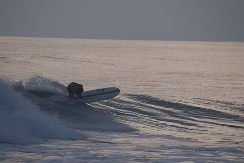 Rio Nexpa Surf Forecast and Surf Reports (Michoacan, Mexico)