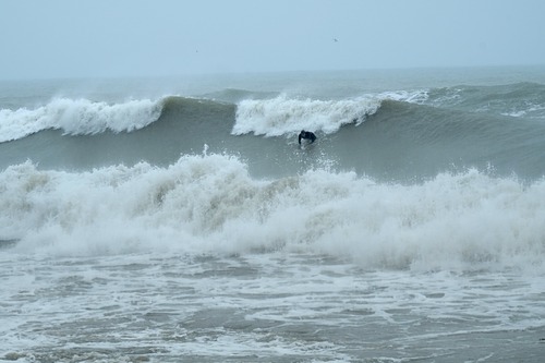 Patons Rock Surf Forecast and Surf Reports (Nelson - Tasman Bay, New ...