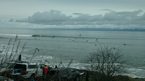 Twin Rivers Surf Forecast and Surf Reports (Washington, USA)