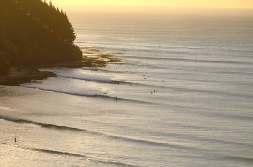 Shipwrecks Bay-Peaks Surf Forecast and Surf Reports (Northland, New ...