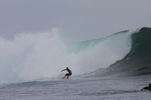Surf-Forecast | Grajagan Bay/G-Land Surf Guide