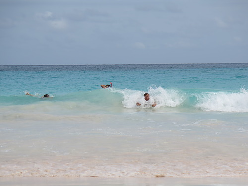 Horseshoe Bay Surf Forecast and Surf Reports (Bermuda, Bermuda)
