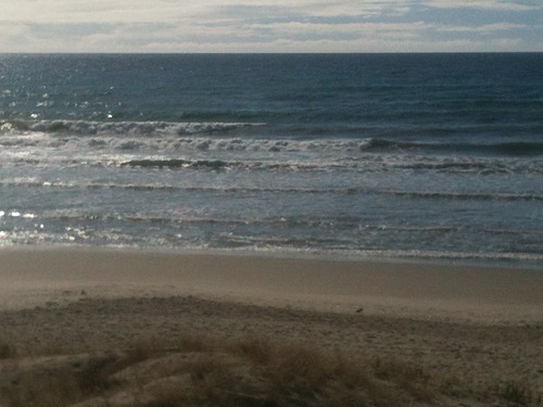 Papamoa Beach Park Surf Forecast and Surf Reports (Bay of Plenty, New ...