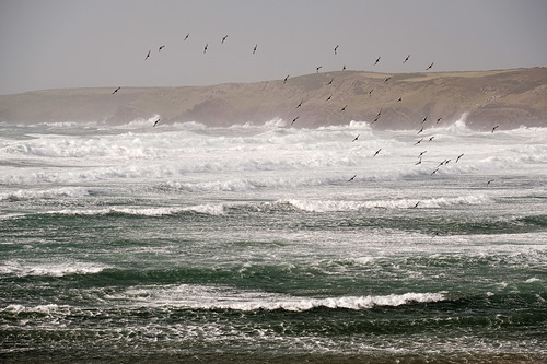 Freshwater West Surf Forecast and Surf Reports (Wales - Pembrokeshire, UK)