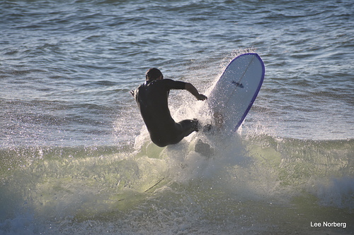 The Point Surf Forecast and Surf Reports (Carolina North, USA)