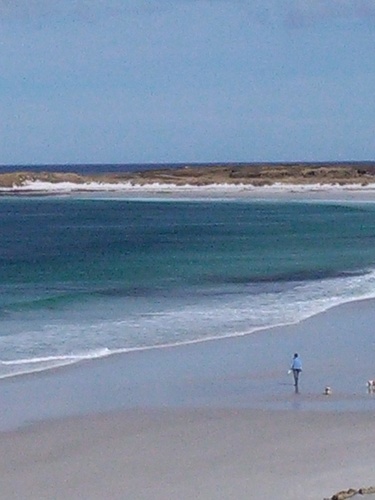 Surf Bay Surf Forecast and Surf Reports (Falkland Islands, Falkland ...