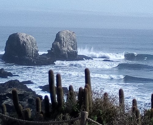Punta de Lobos Surf Forecast and Surf Reports (Santiago, Chile)