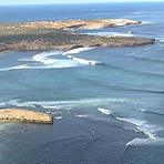 Cactus Surf Forecast and Surf Reports (SA - Nullarbor, Australia)