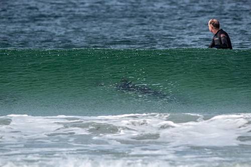 Surf Bay Surf Forecast and Surf Reports (Falkland Islands, Falkland ...