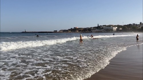 Surf-Forecast | Meia Praia Surf Guide
