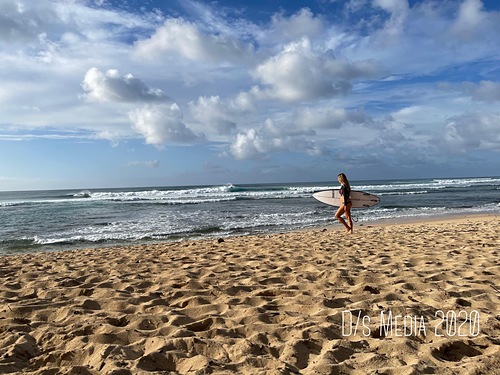 Velzy Land Surf Forecast and Surf Reports (HAW - Oahu, USA)