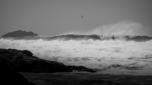 Polzeath Surf Forecast and Surf Reports (Cornwall (North), UK)