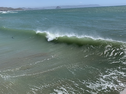 Cayucos Pier Surf Forecast and Surf Reports (CAL - San Luis Obispo, USA)