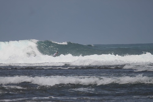 Llorente Surf Forecast and Surf Reports (Samar, Philippines)