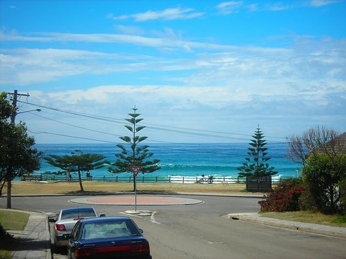 Surf-Forecast | Curl Curl Surf Guide