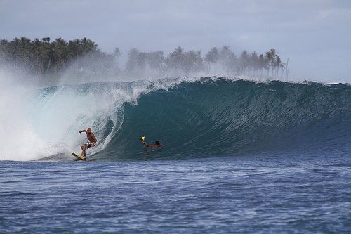 Green Bush Surf Forecast and Surf Reports (Mentawi Islands, Indonesia)