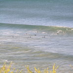 Bird Rock Surf Forecast and Surf Reports (VIC - Torquay, Australia)