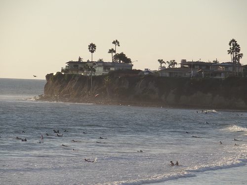Surf-Forecast | La Jolla Shores Surf Guide