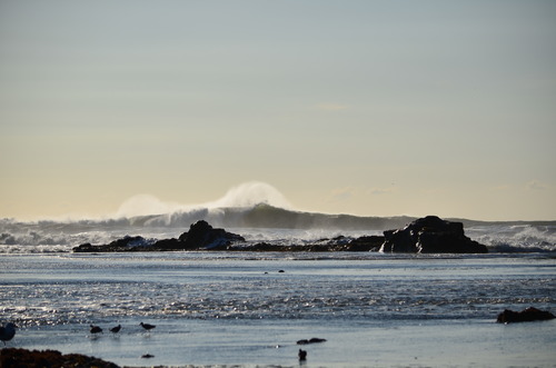 Mavericks Surf Forecast and Surf Reports (CAL - San Mateo, USA)