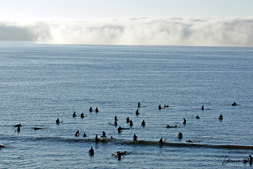 Cowells Cove Surf Forecast and Surf Reports (CAL - Santa Cruz, USA)