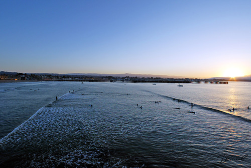 Cowells Cove Surf Forecast and Surf Reports (CAL - Santa Cruz, USA)