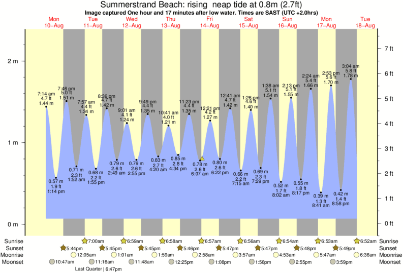 Summerstrand Beach Surf Photo by William Veitch | 7:24 am 14 Aug 2020